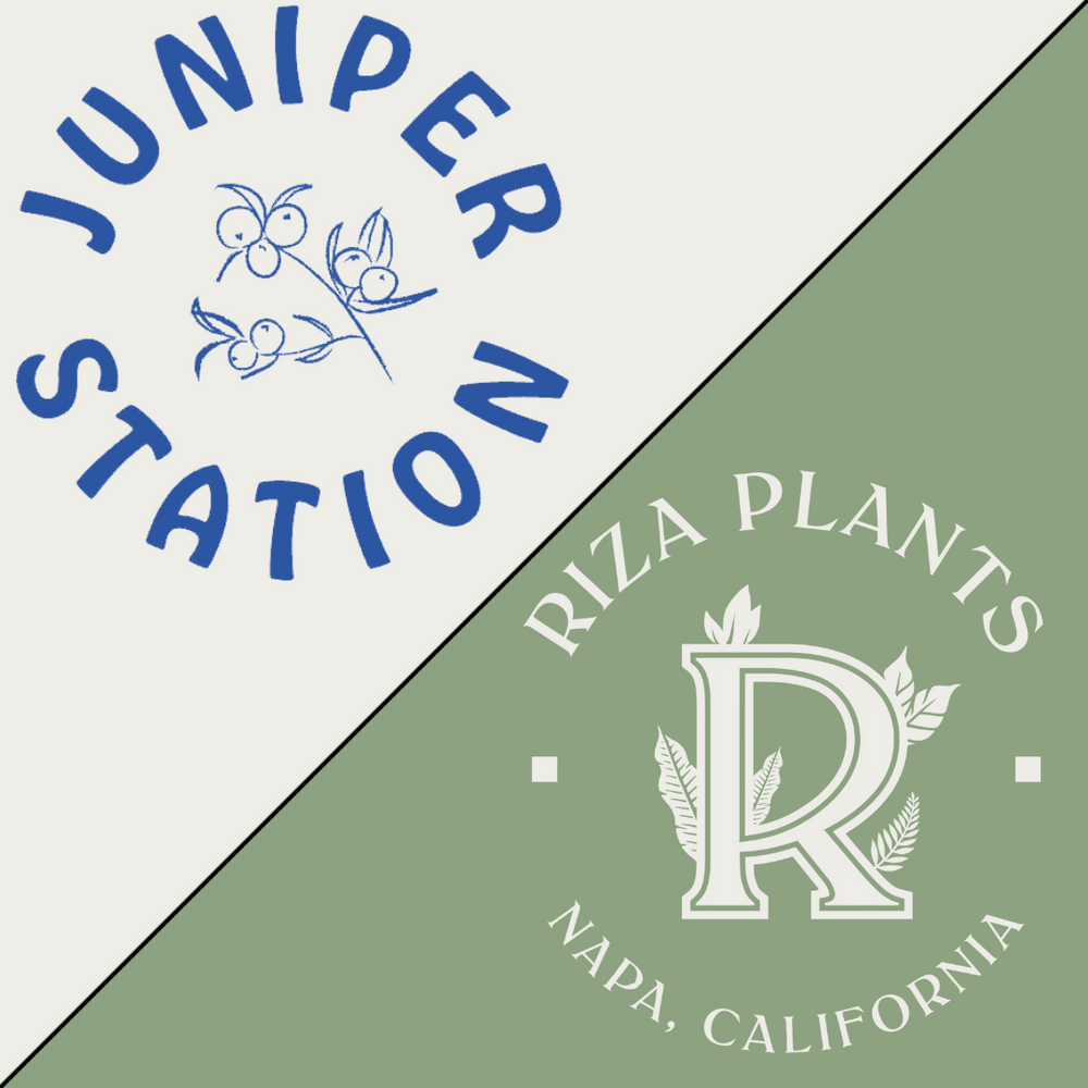 Products - Riza Plants