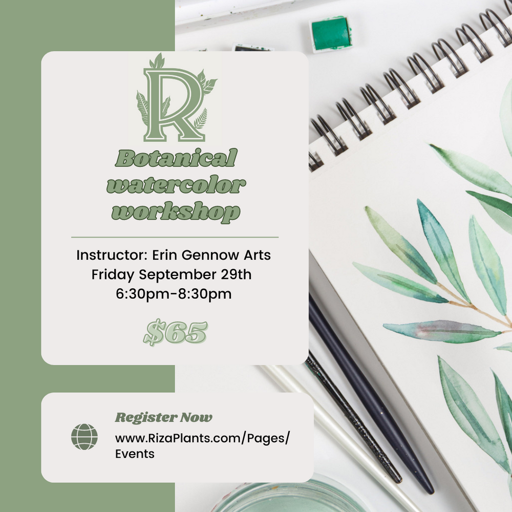 Products - Riza Plants
